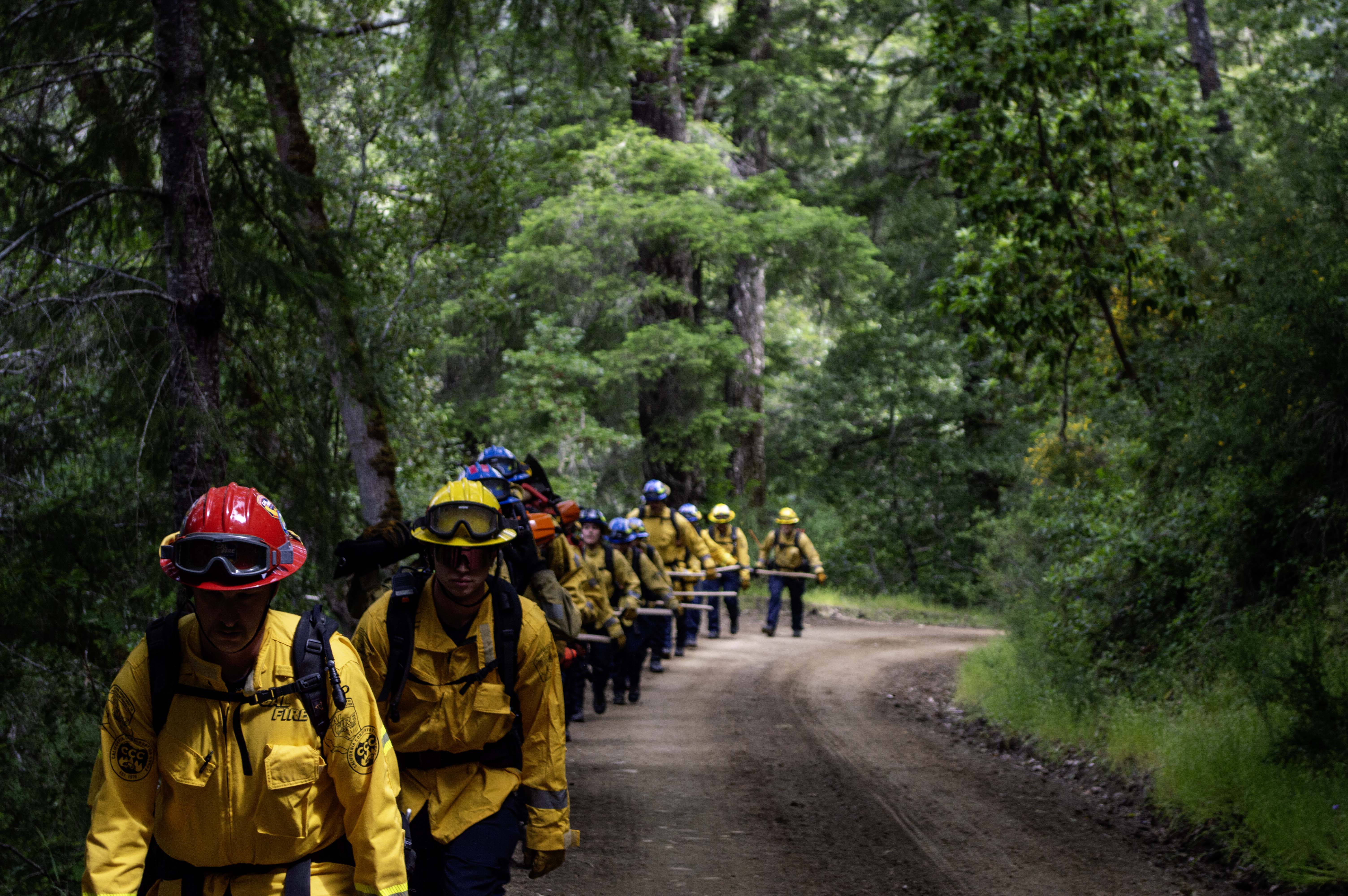 (PHOTOS) Wildland Firefighters Hike, Saw and Hack Away to Prep for ...