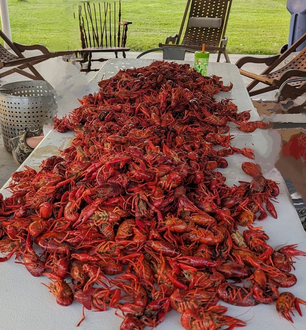 SPRINTING ACROSS AMERICA: Houston to Miami (With an Interlude at a ...