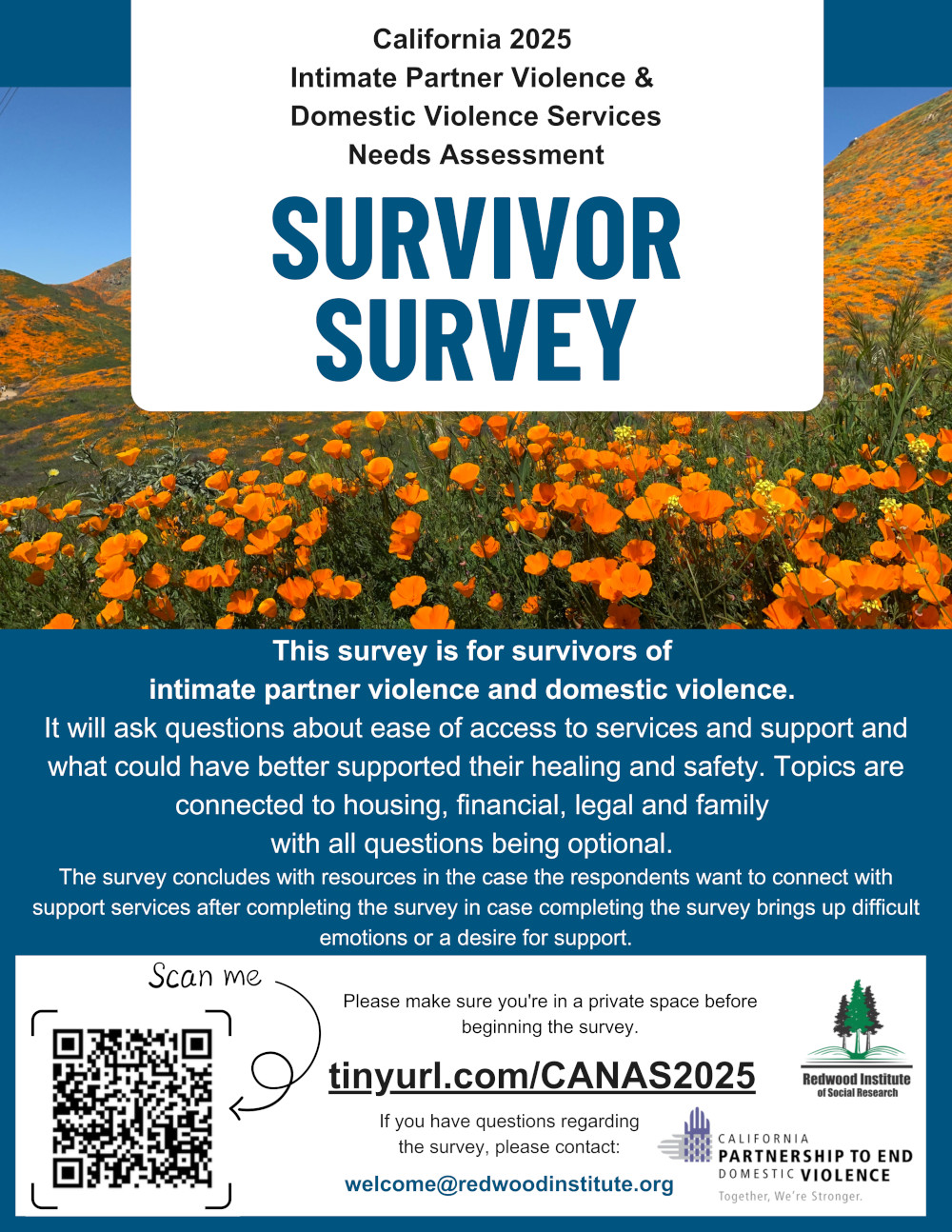 Are You a Victim of Domestic Violence? A Social Services Provider ...