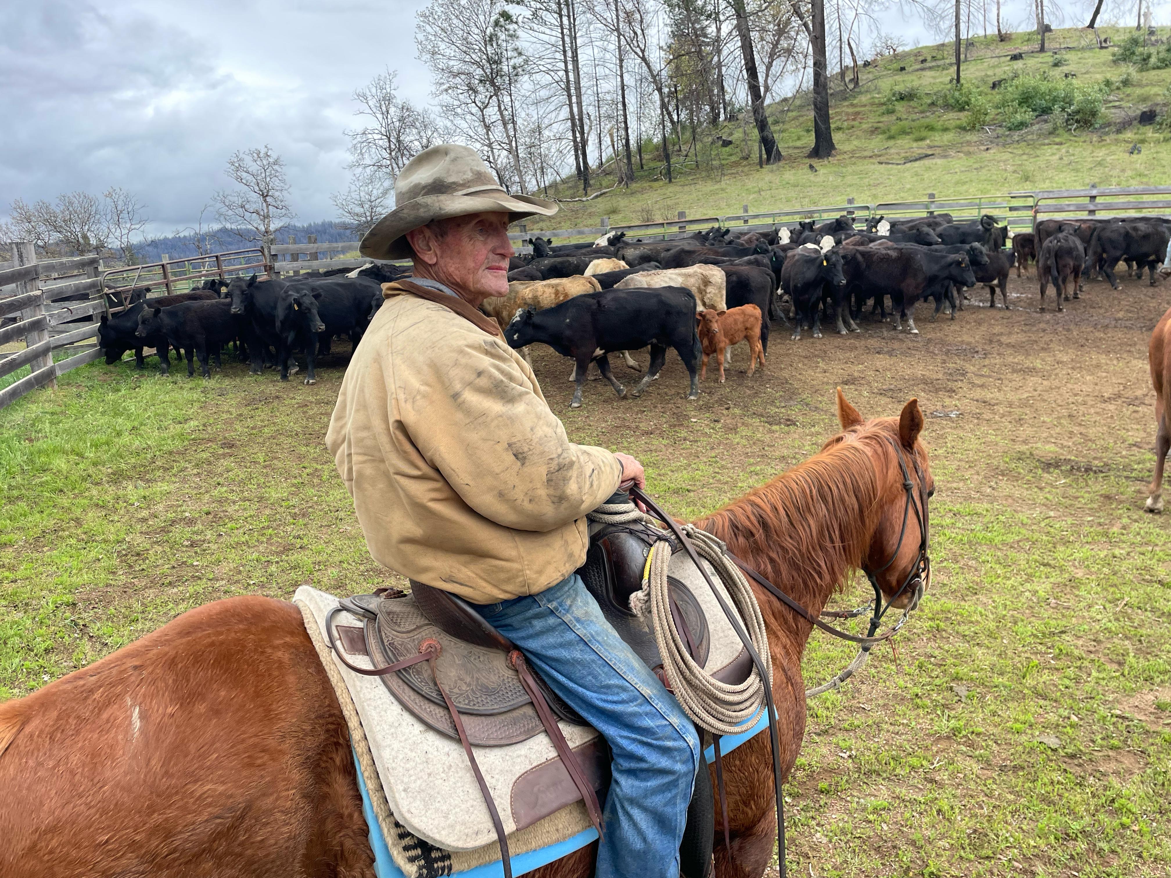 OBITUARY: David Eugene Albee, 1948-2025 | Lost Coast Outpost | Humboldt ...
