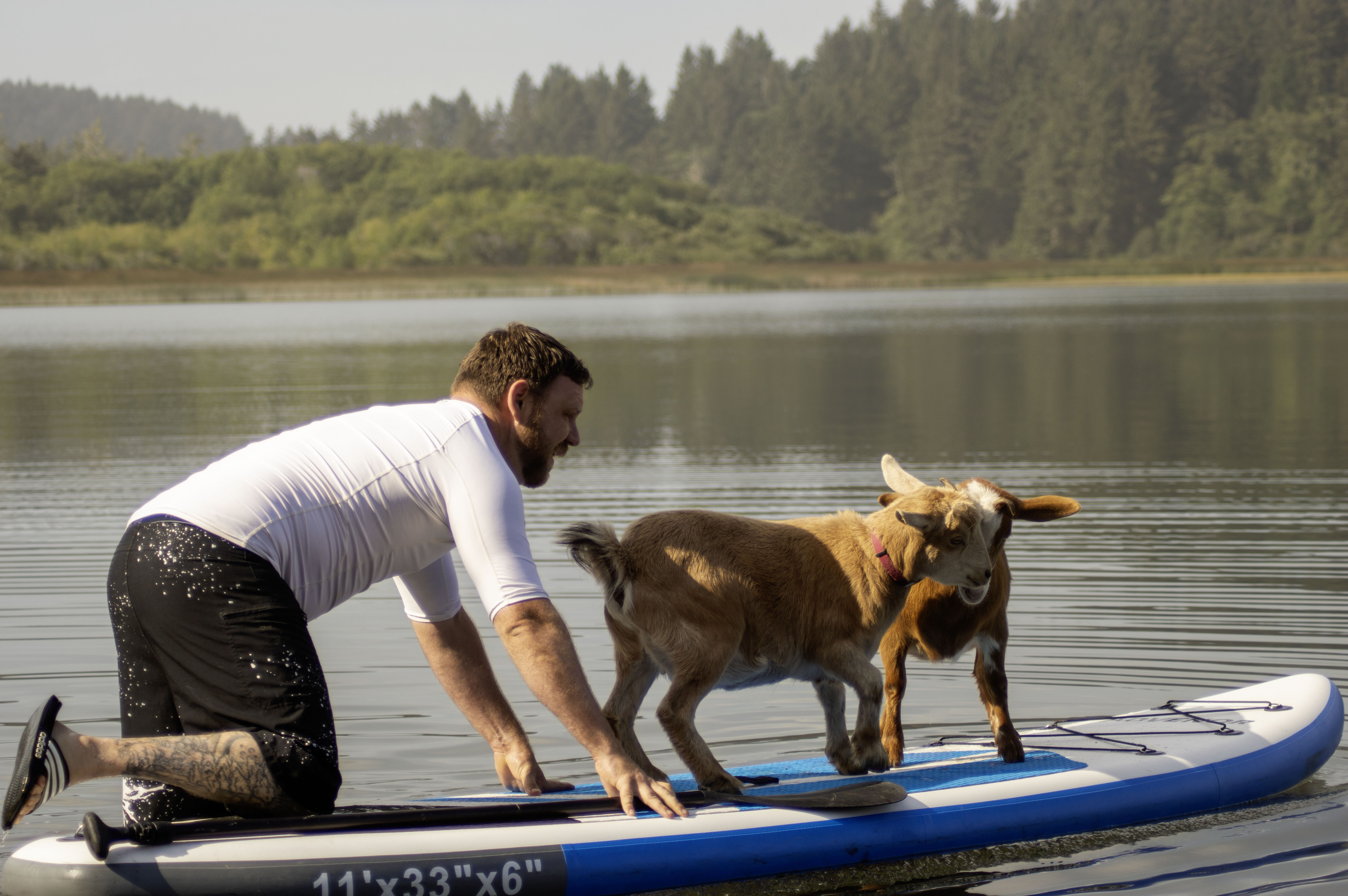 (PHOTOS) Humboldt's Paddleboarding GOATs (Literally) | Lost Coast ...