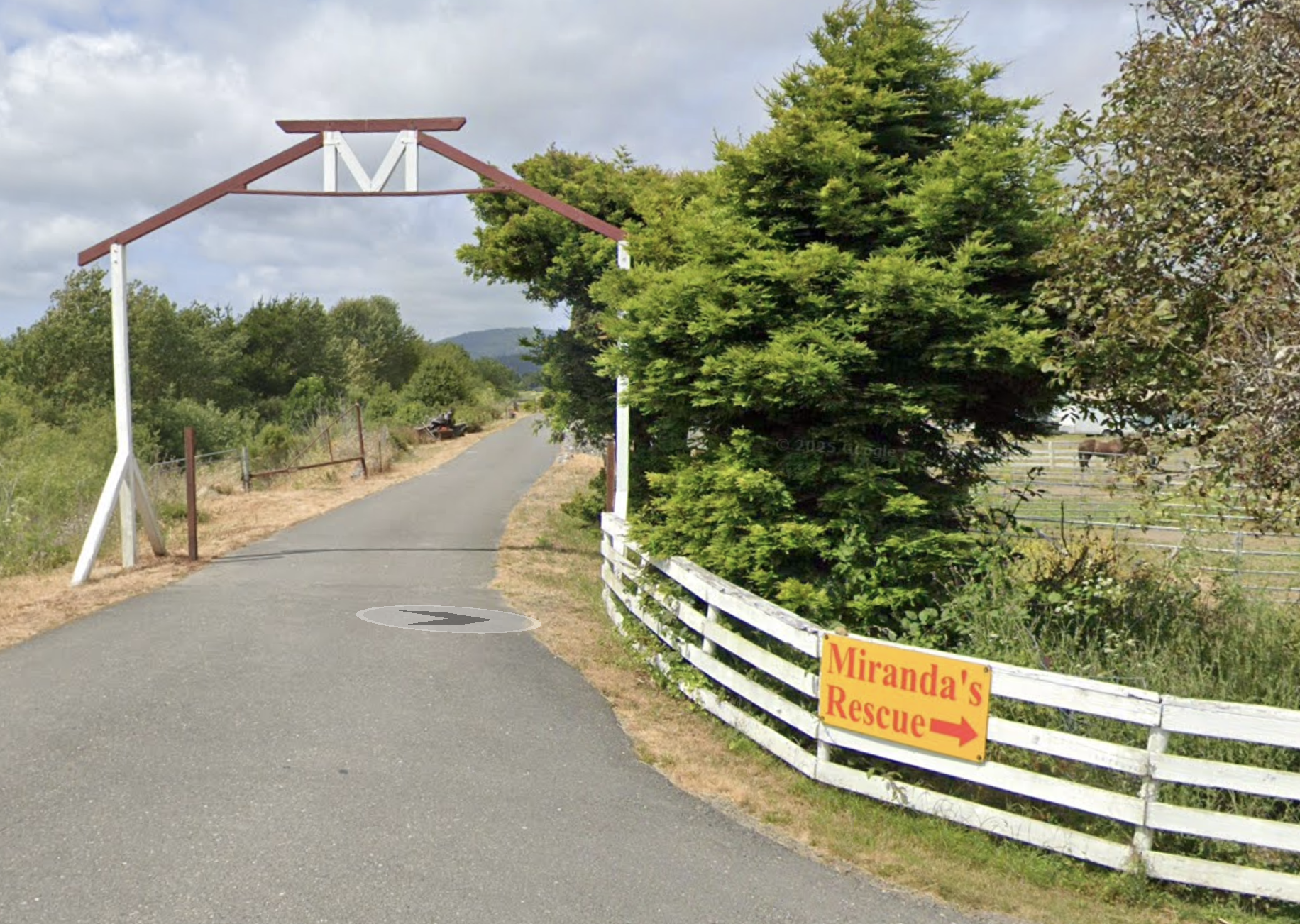 Miranda’s Rescue Search Warrant Reveals Eight Dead Dogs Have Been ...