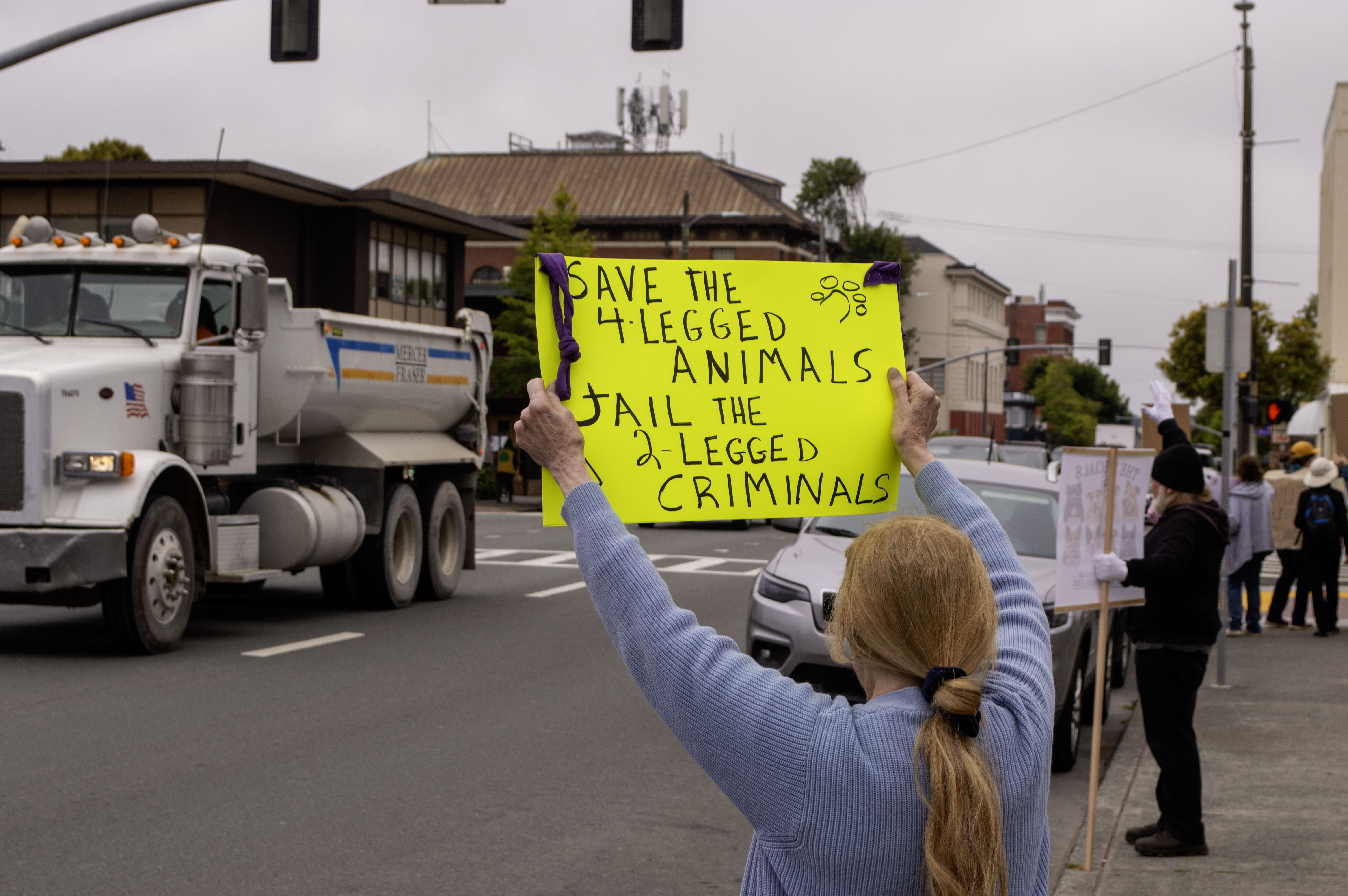 (PHOTOS) A Pro-Dog, Anti-Miranda's Rescue Courthouse Vigil is Drawing a ...