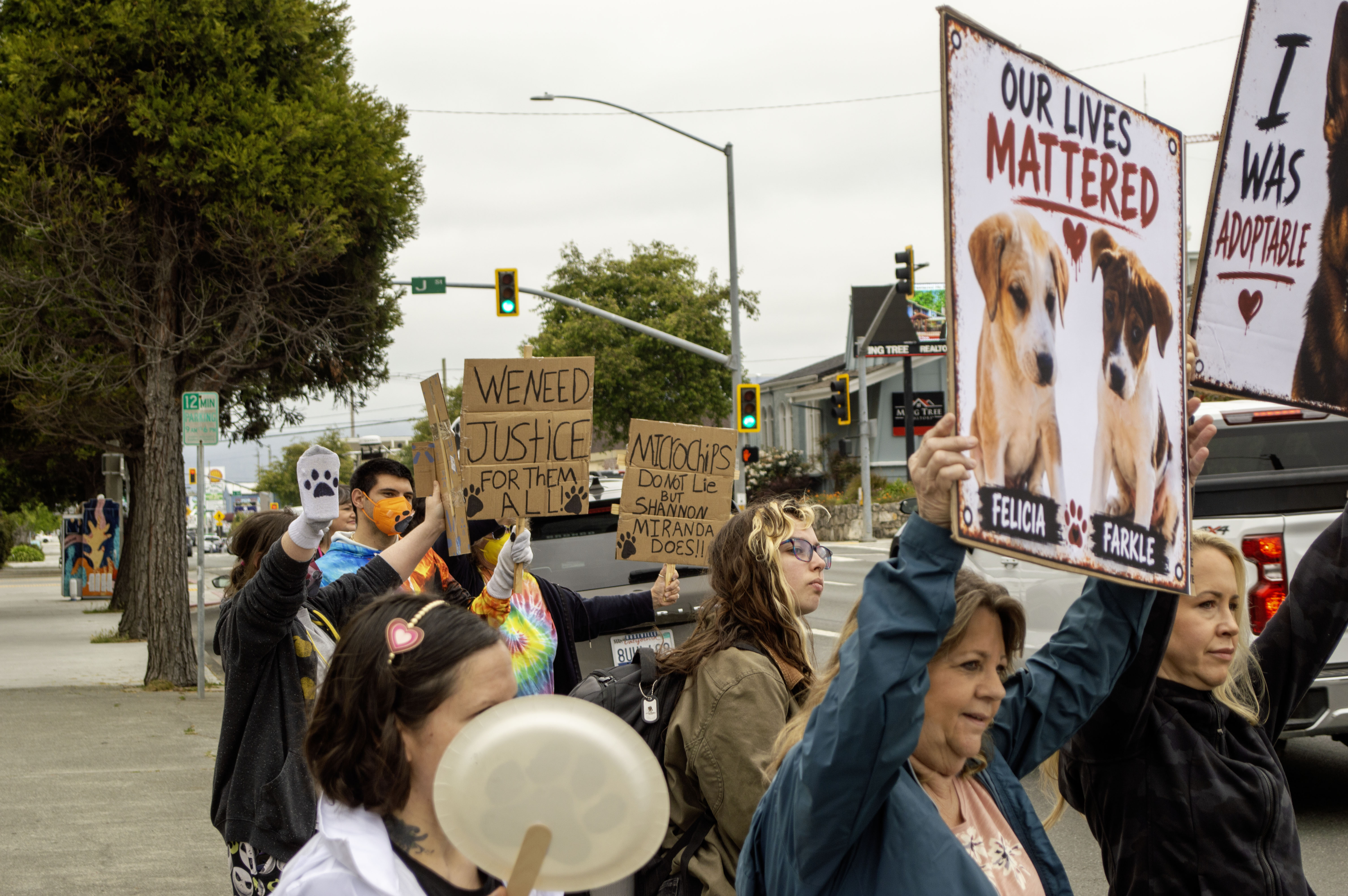(PHOTOS) A Pro-Dog, Anti-Miranda's Rescue Courthouse Vigil is Drawing a ...